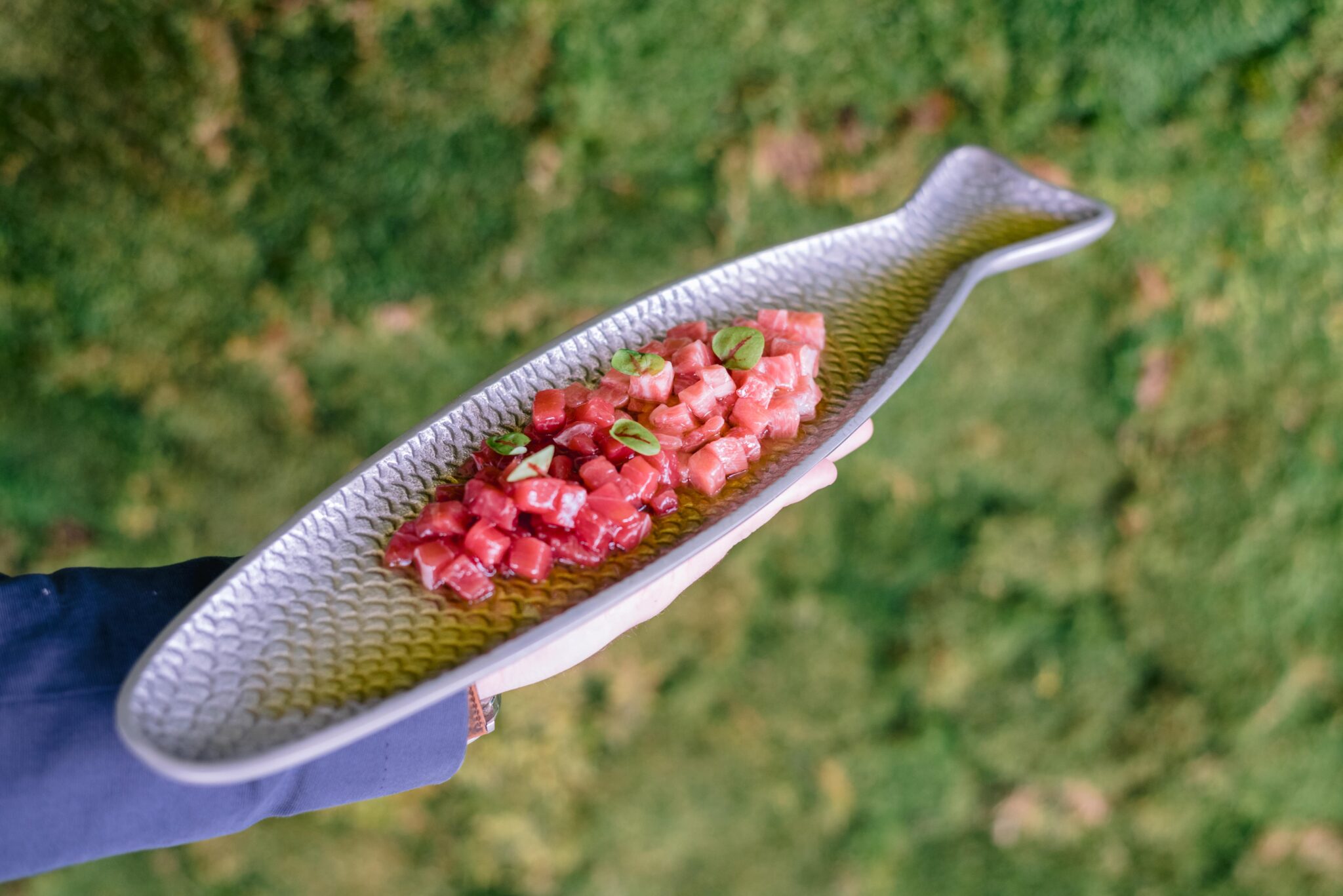 Ibiza, a new summer to enjoy BiBo | Grupo Dani García